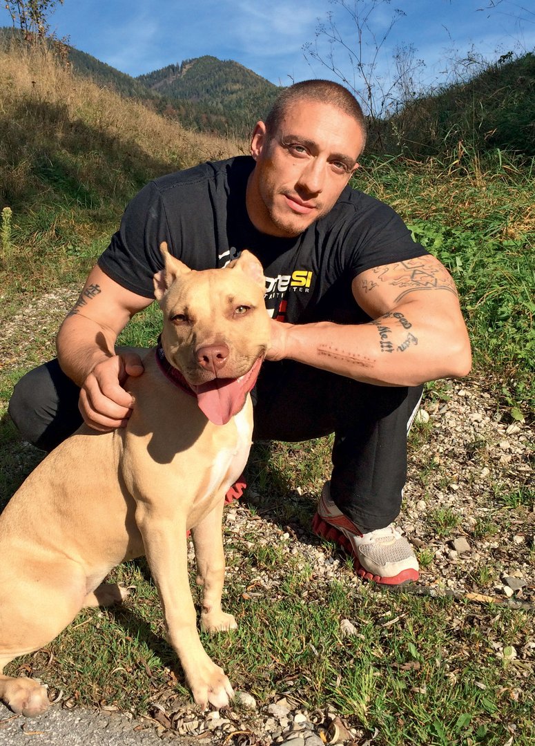 Denis Porčič strogo proti pasjim borbam - Govori.se