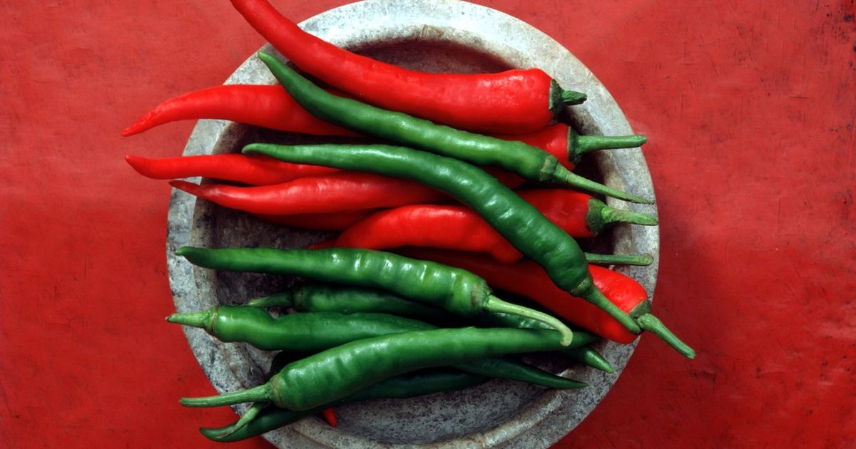 Natečaj za Mentorjev feferon je odprt! - Govori.se