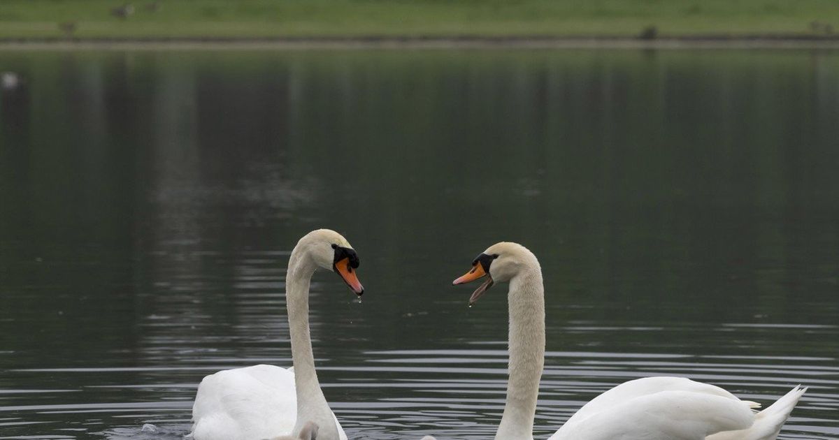 Raziskovalci opozarjajo, da je rečna voda po vsem svetu polna ...