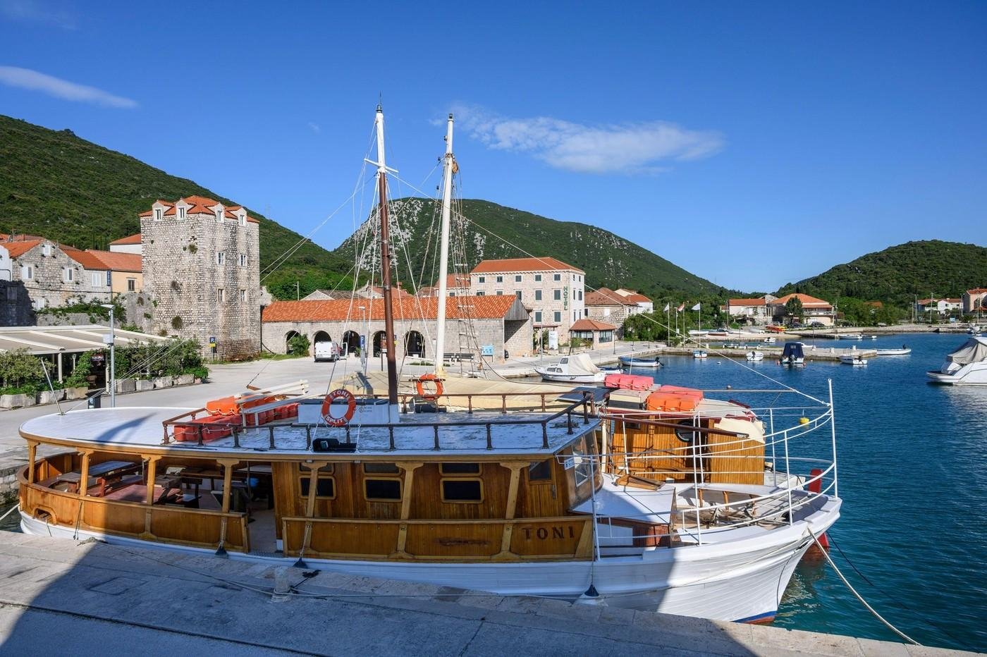 Pri znanem hrvaškem otoku videli najbolj strupeno ribo na svetu in eno ...