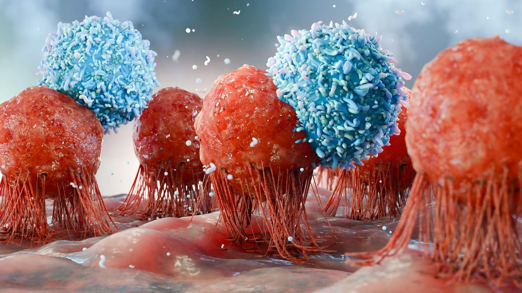 Odkrita terapija, ki deluje na vse vrste raka - Govori.se